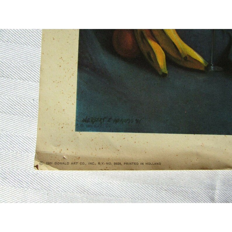 Vintage Herbert E Abrams Still Life Print 1961 Donald Art Co 53039 - Etsy