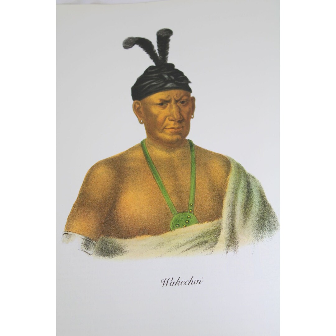 Native American Indian Print Crouching Eagle Sauk Fox Charles Bird King ...