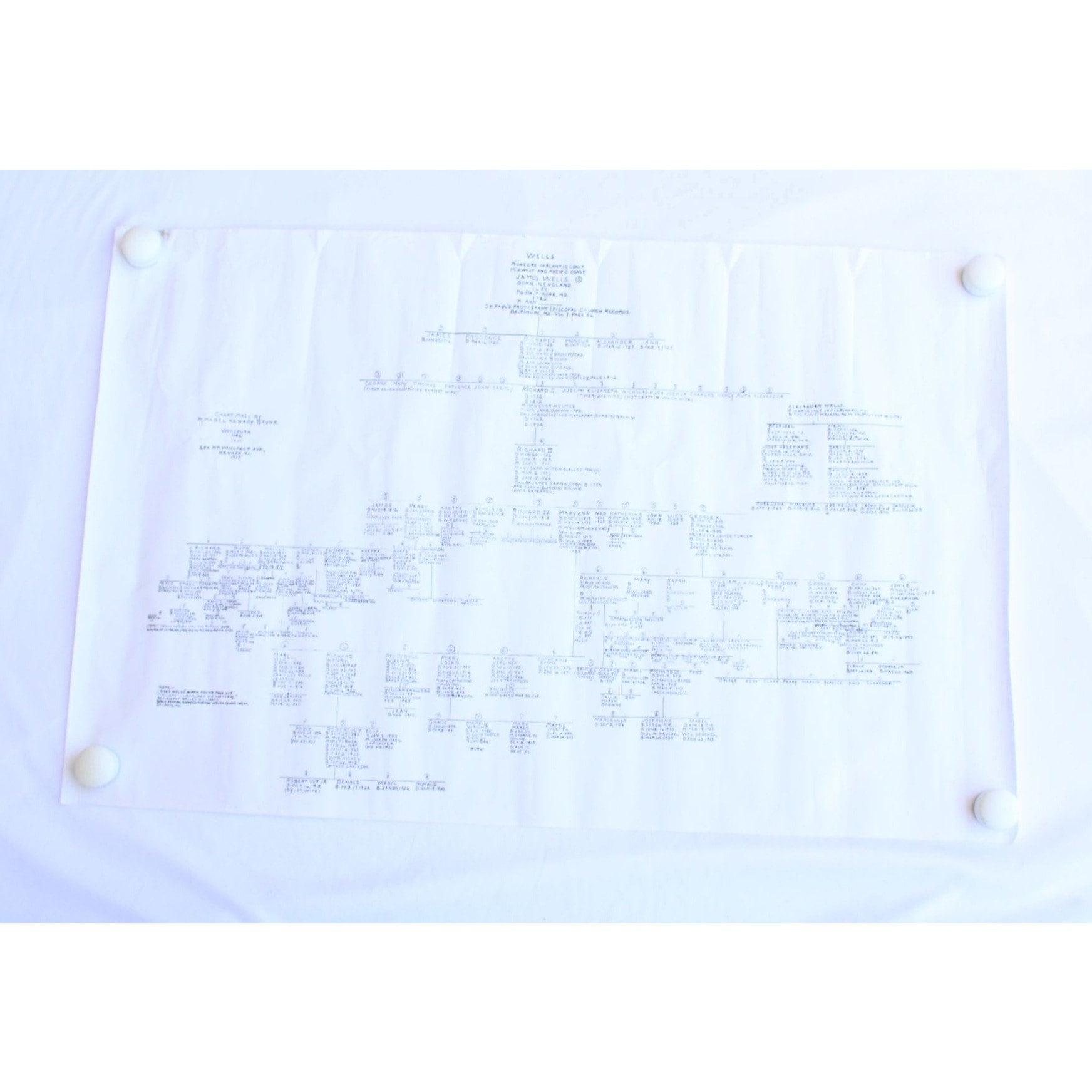 Wells Family Tree Vintage Chart 1933 77480 - Etsy