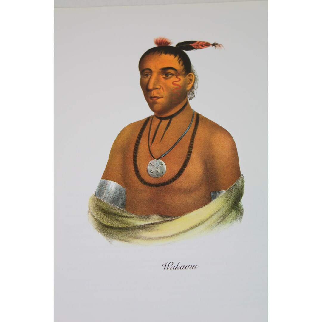 Native American Indian Print Wakawn the Snake Winnebago Chief 90916 - Etsy