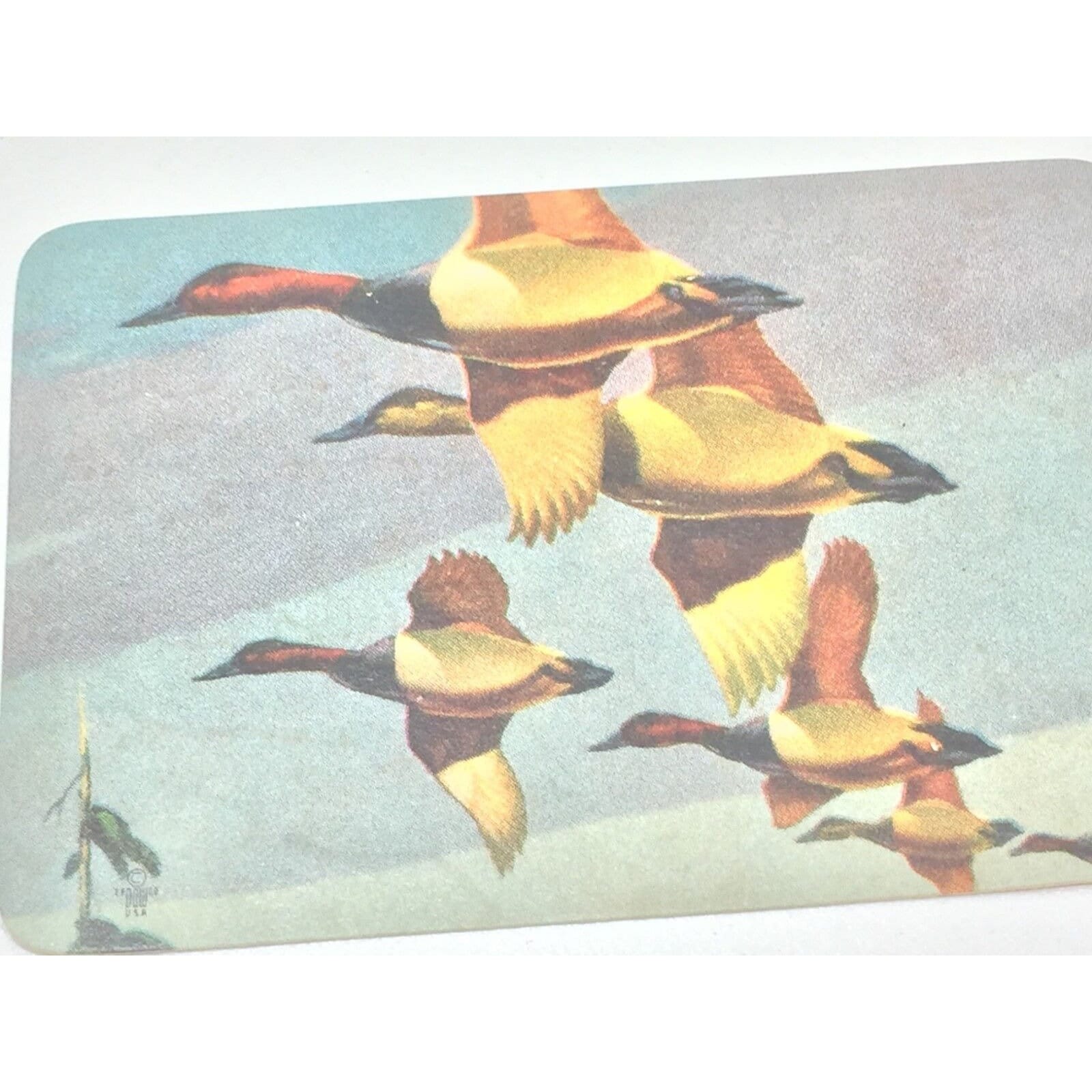 5 Single Swap Playing Cards Duck Ducks Mallard 24810 Flying - Etsy