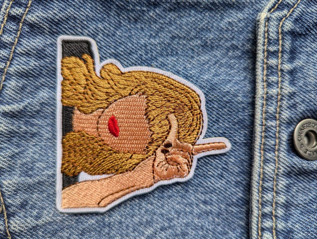 Taylor Swift Patch Embroidered Iron on Patch, Patches for Jackets/bags ...