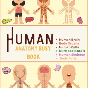 Busy Book Human Anatomy for Kids - Etsy