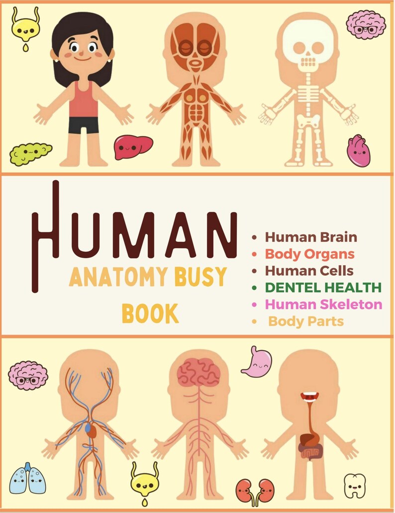 Busy Book Human Anatomy for Kids - Etsy