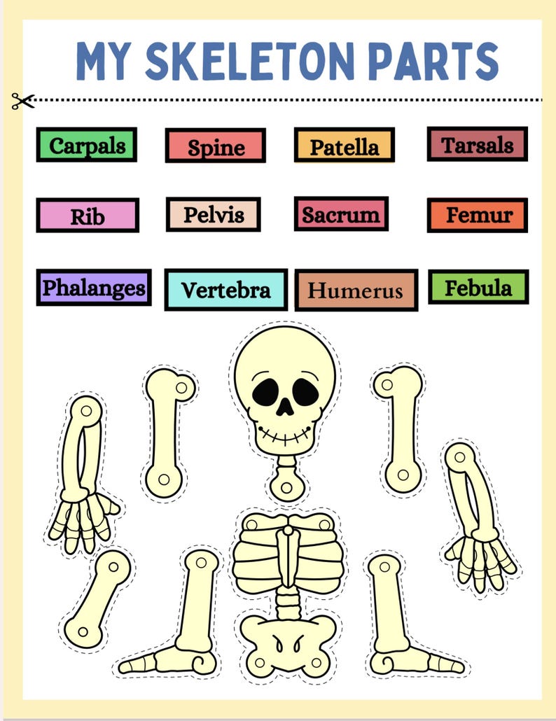Busy Book Human Anatomy for Kids - Etsy