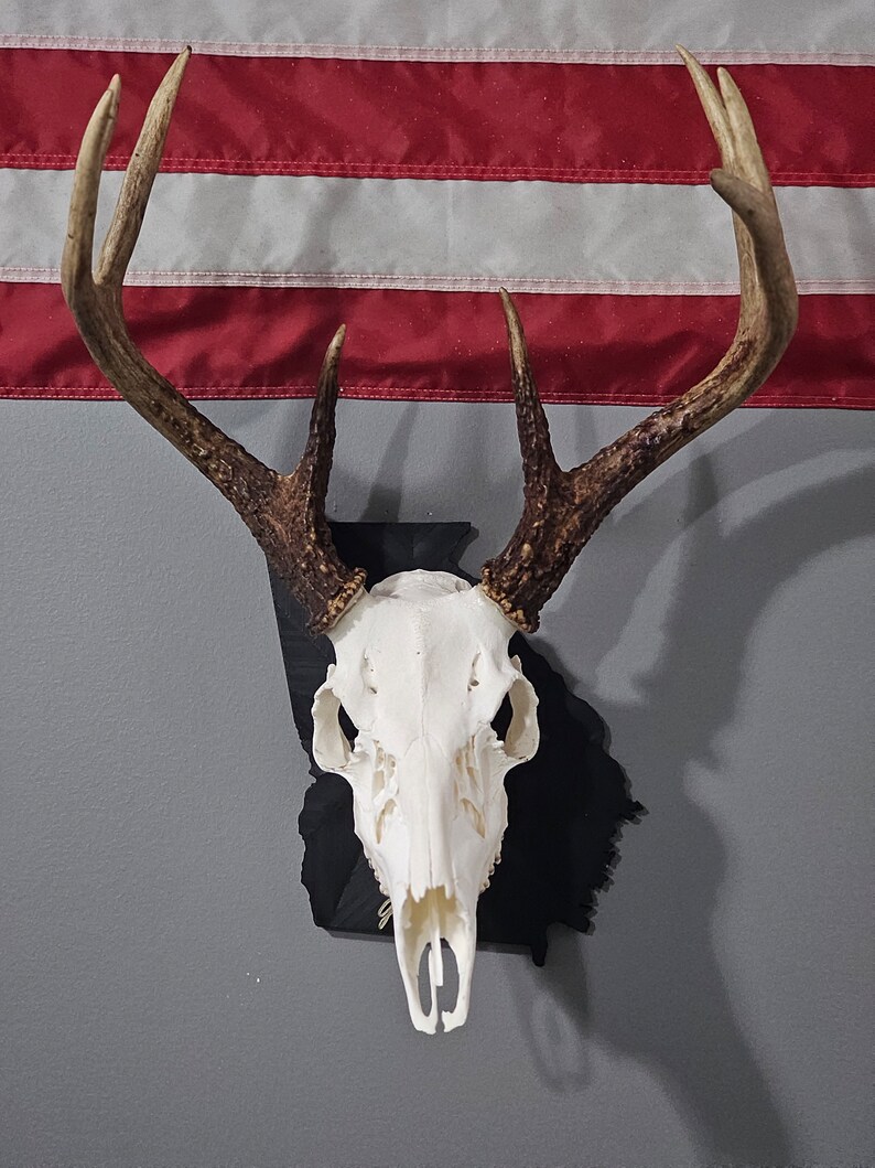 State Euro Mount Holders - Etsy