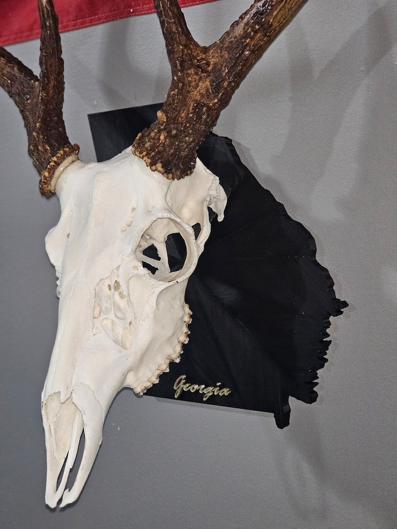 State Euro Mount Holders - Etsy