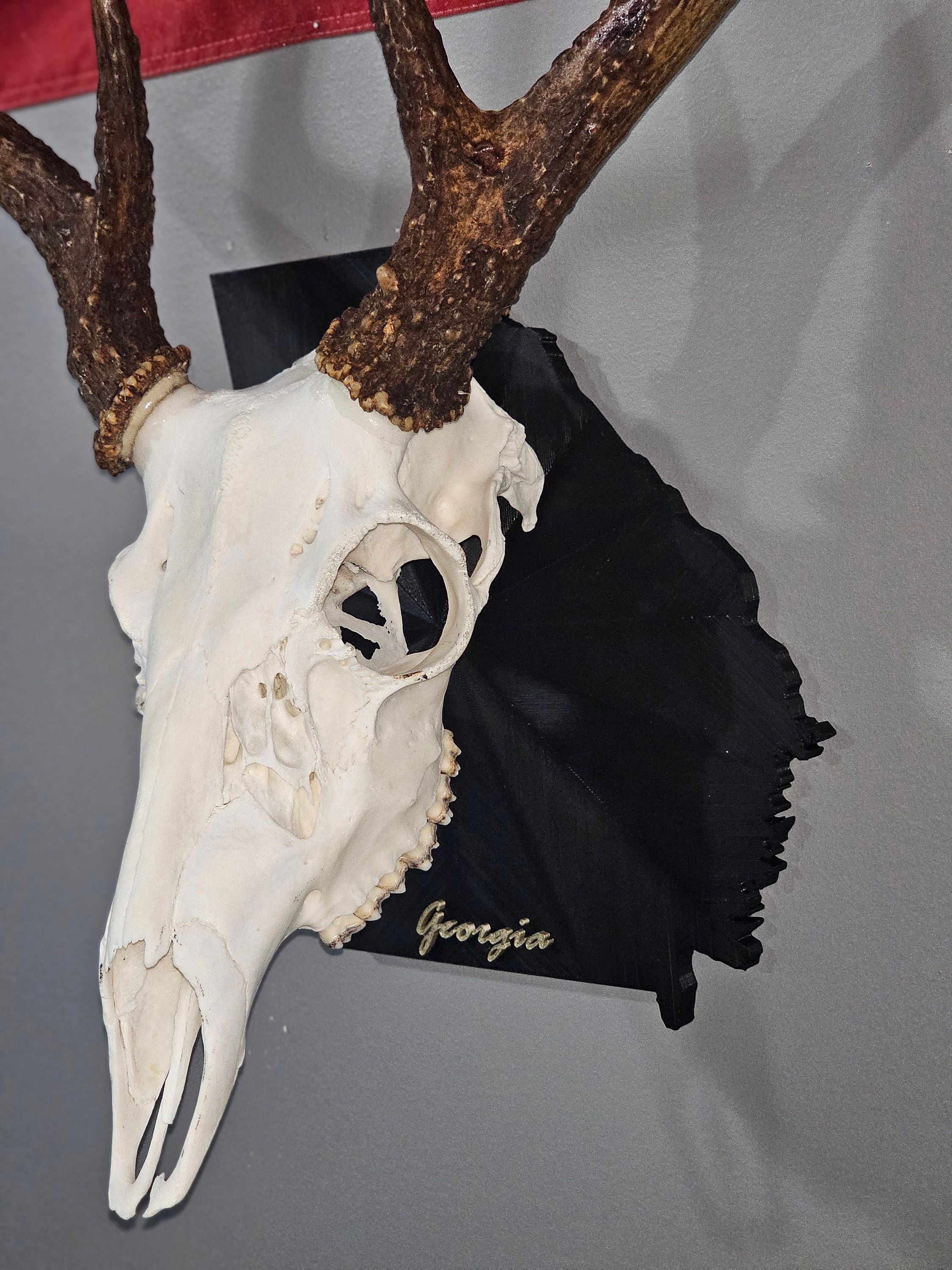 State Euro Mount Holders - Etsy