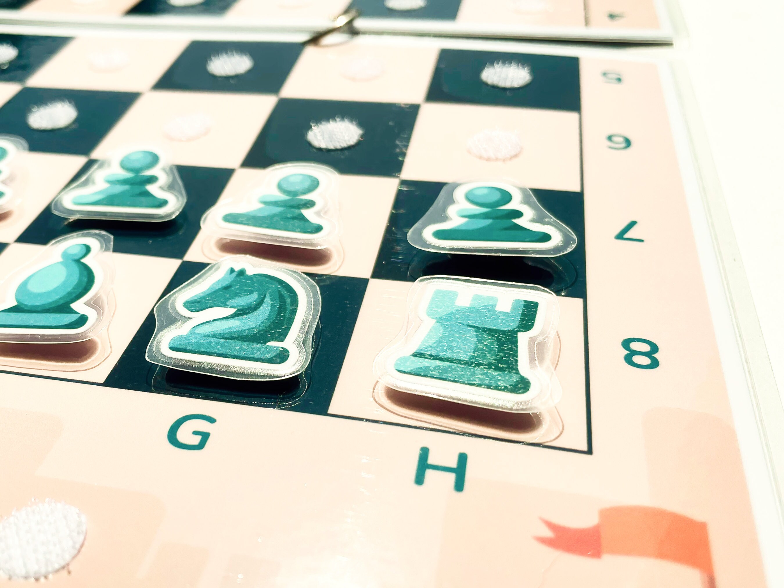 Educational Chess Set With Board for Kids, How to Play Chess for ...