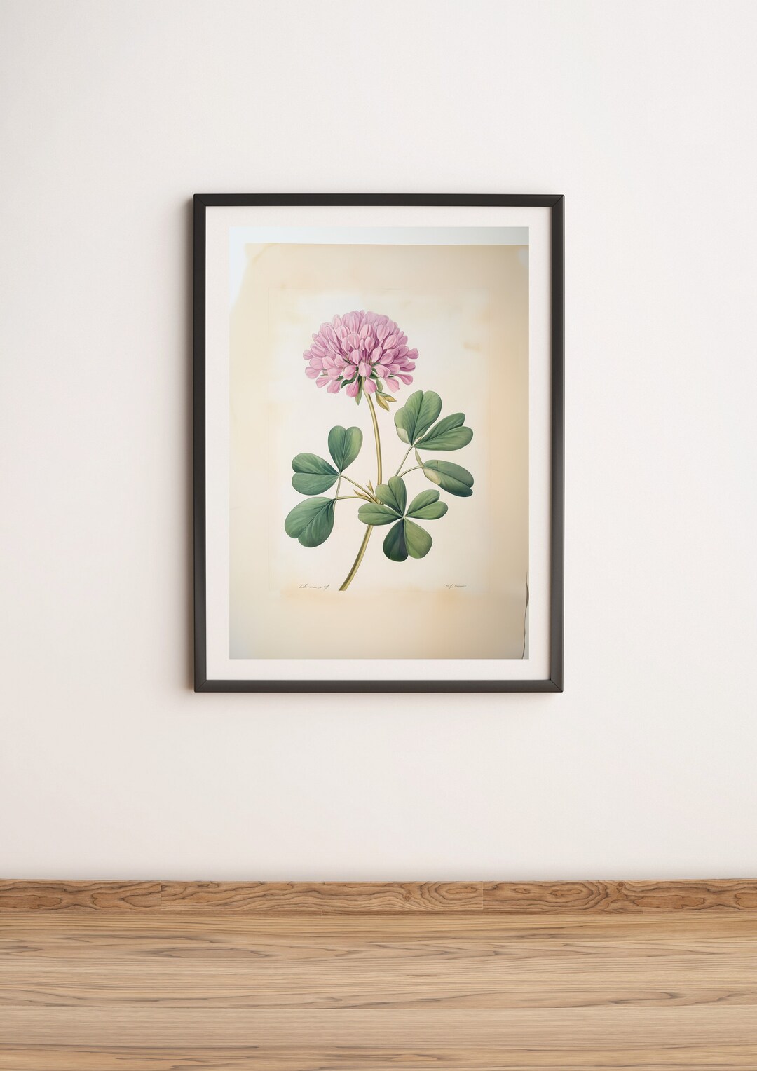 Pink Clover Vintage Style Illustration Botanical Wall Art Digital ...