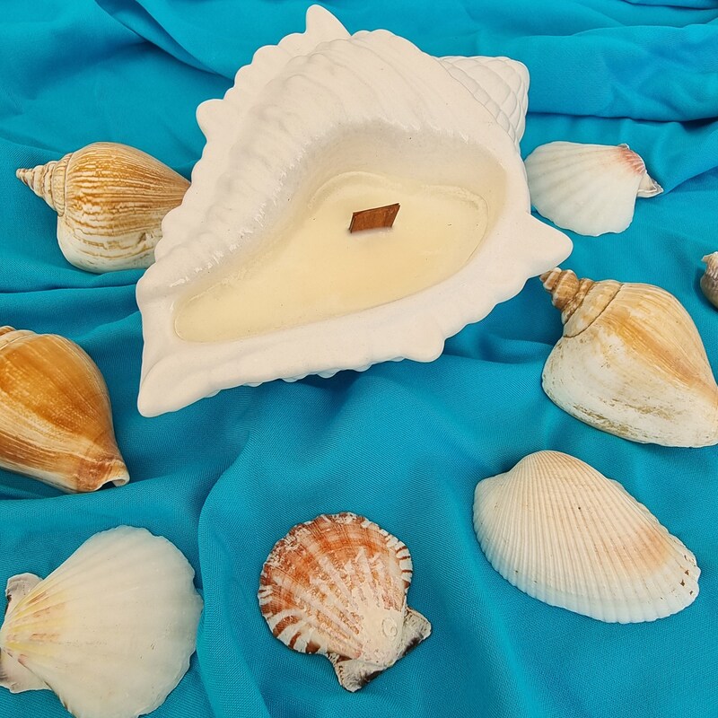 Shell Candle - Etsy