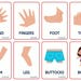 Educational Body Parts Flashcards for Kids - Anatomy Learning Aid - Fun ...