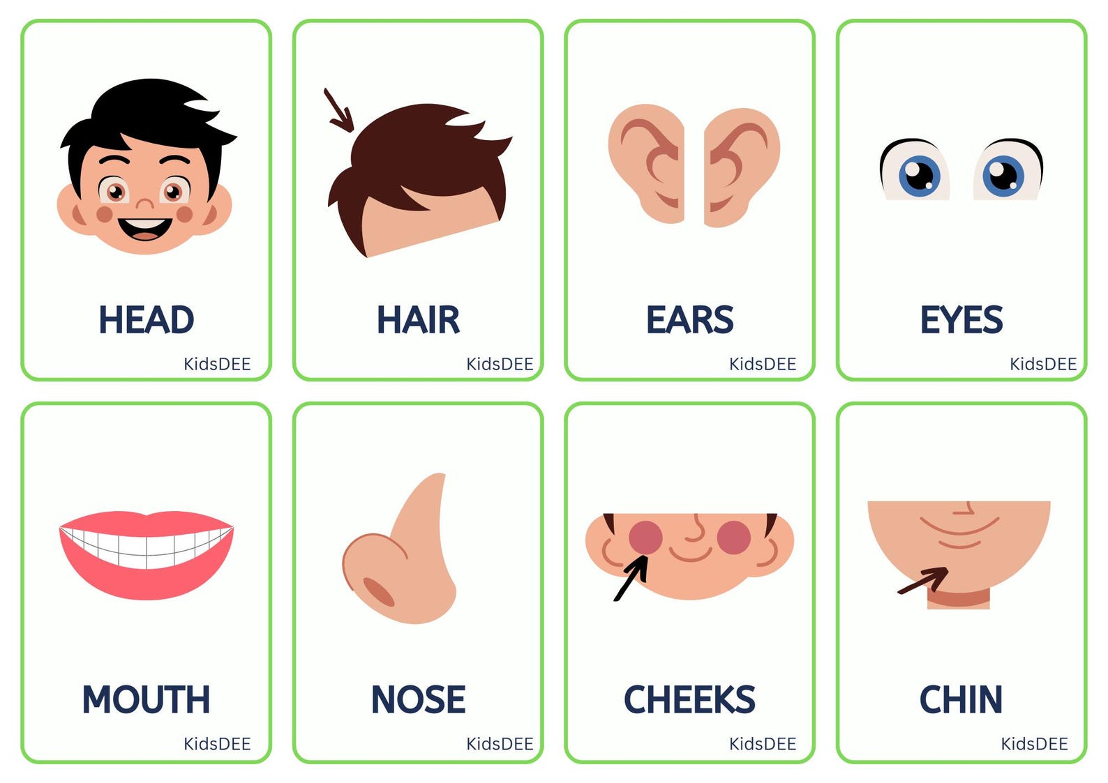 Educational Body Parts Flashcards for Kids - Anatomy Learning Aid - Fun ...