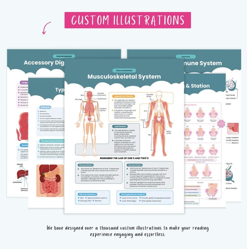 All-in-one Nursing School Notes, Guide for Nursing Students ...