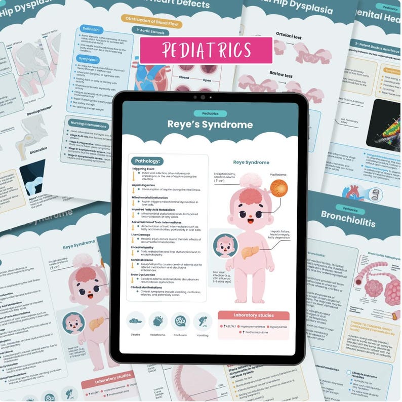 All-in-one Nursing School Notes, Guide for Nursing Students ...