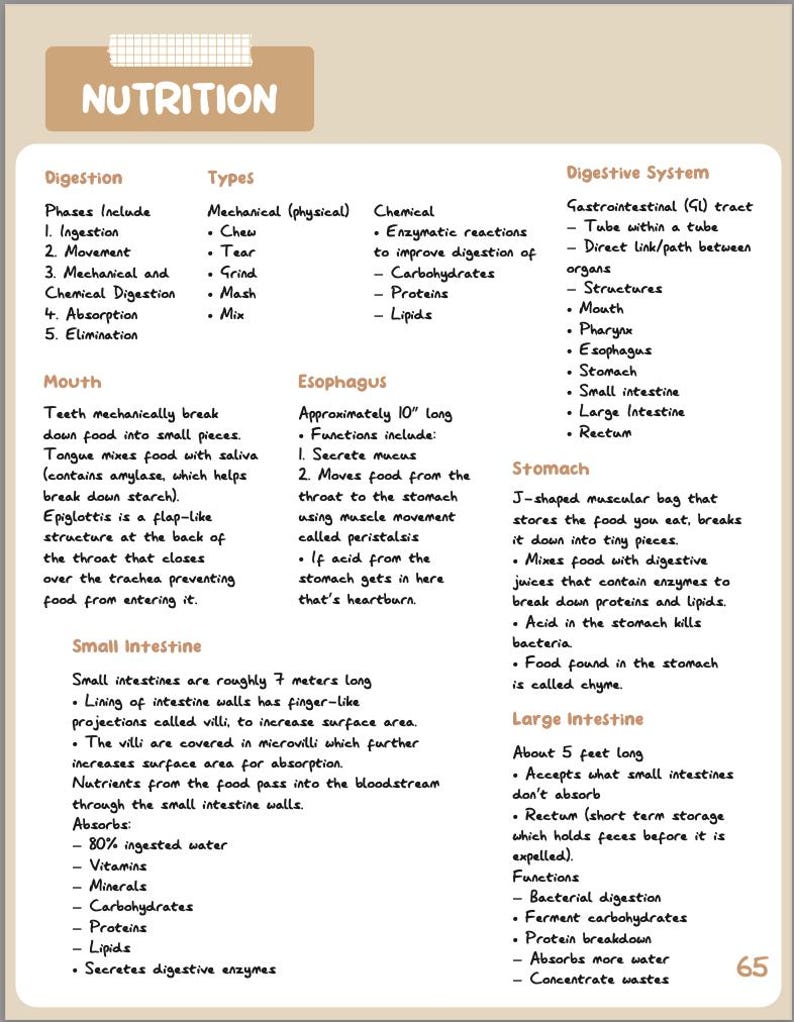 Fundamentals of Nutrition | Nursing Study Guide | 12+ Pages | Nutrition ...