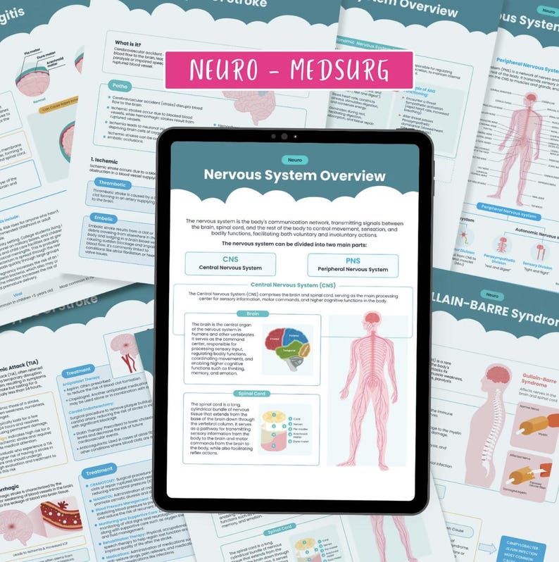 All-in-one Nursing School Notes, Guide for Nursing Students ...