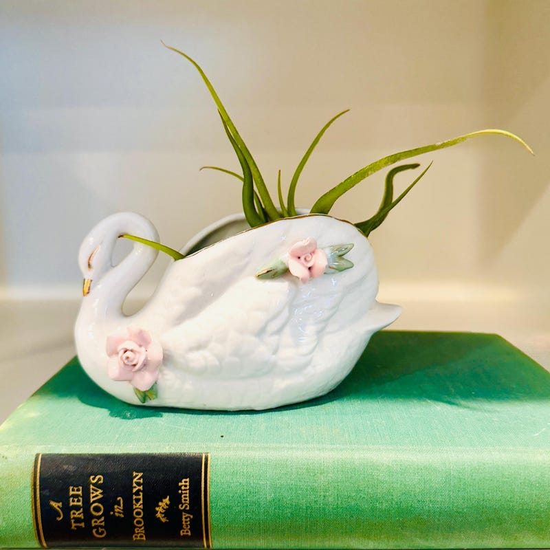 Swan Planter - Etsy