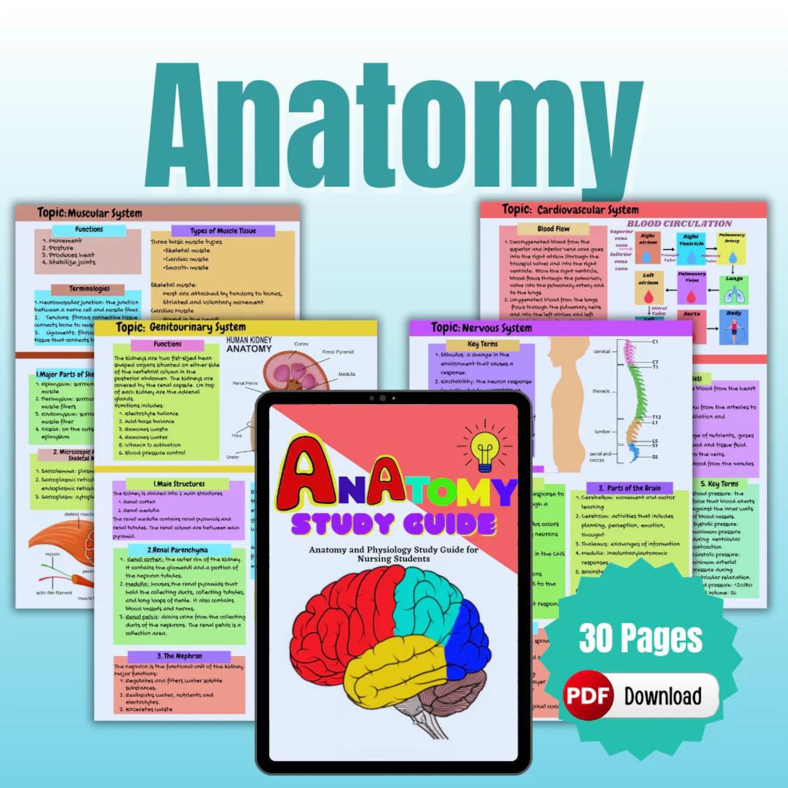 Anatomy and Physiology Study Guide for Nursing Student, Anatomy ...