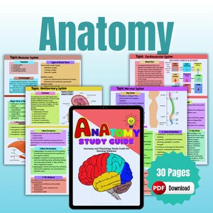 Anatomy and Physiology Study Guide for Nursing Student, Anatomy ...