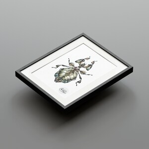 Malaysian Leaf Insect Illustration - Etsy