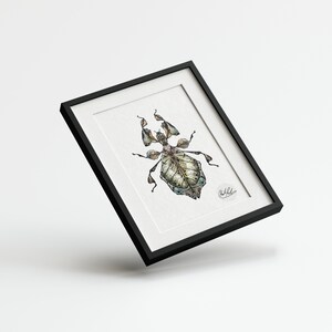 Malaysian Leaf Insect Illustration - Etsy