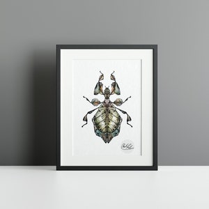 Malaysian Leaf Insect Illustration - Etsy