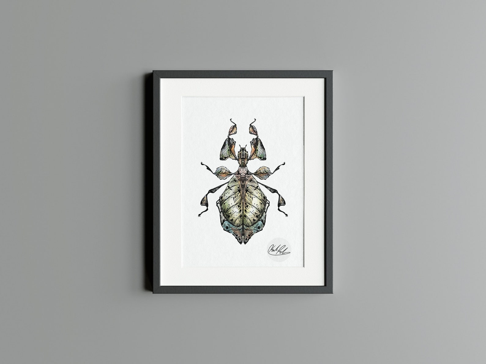 Malaysian Leaf Insect Illustration - Etsy