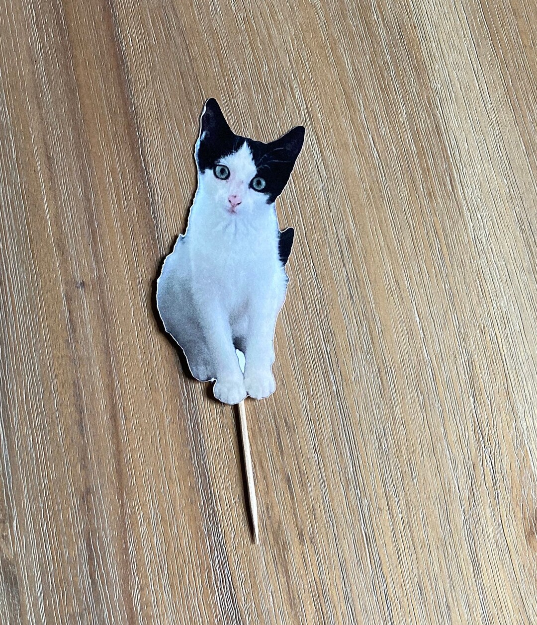 Custom Picture Topper Personalized Dessert Topper Cookie Topper Donut ...