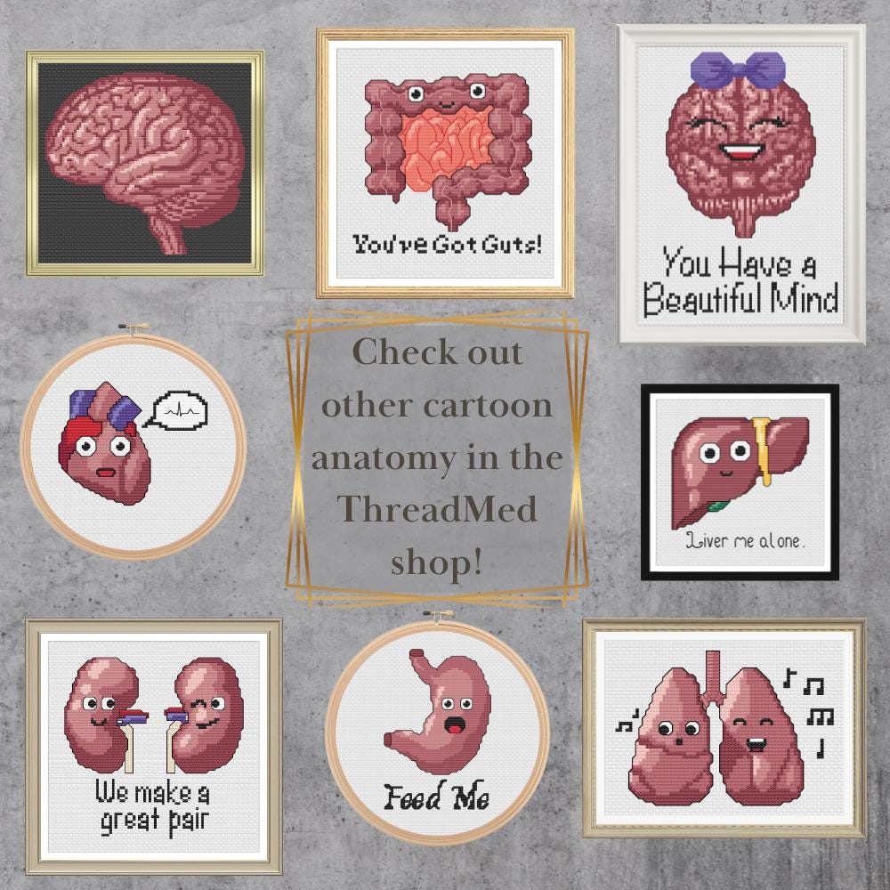 You’ve Got Guts! Funny Science Cross Stitch Pattern (instant PDF ...