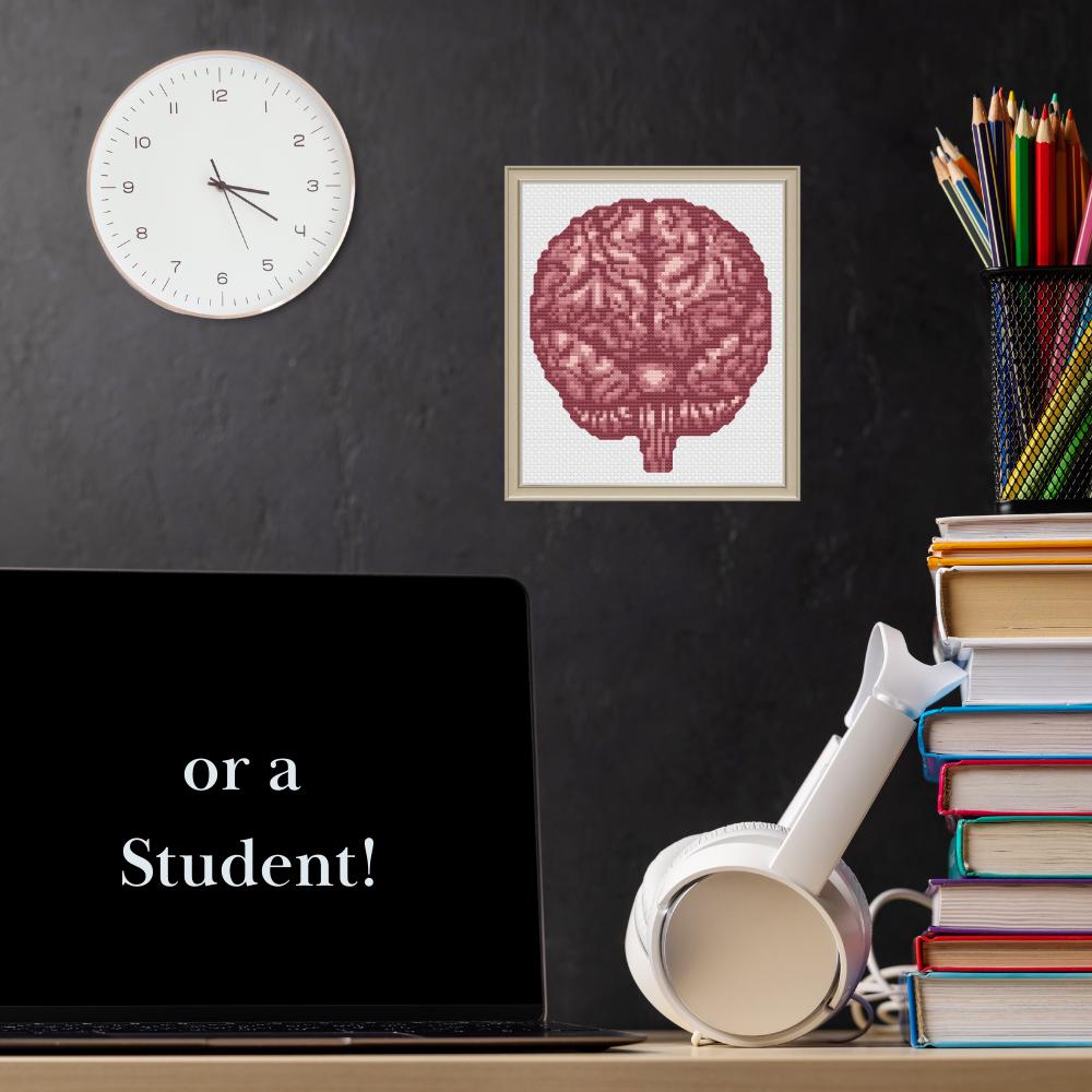 Anatomic Brain Cross Stitch Pattern (instant PDF Download), Front View ...