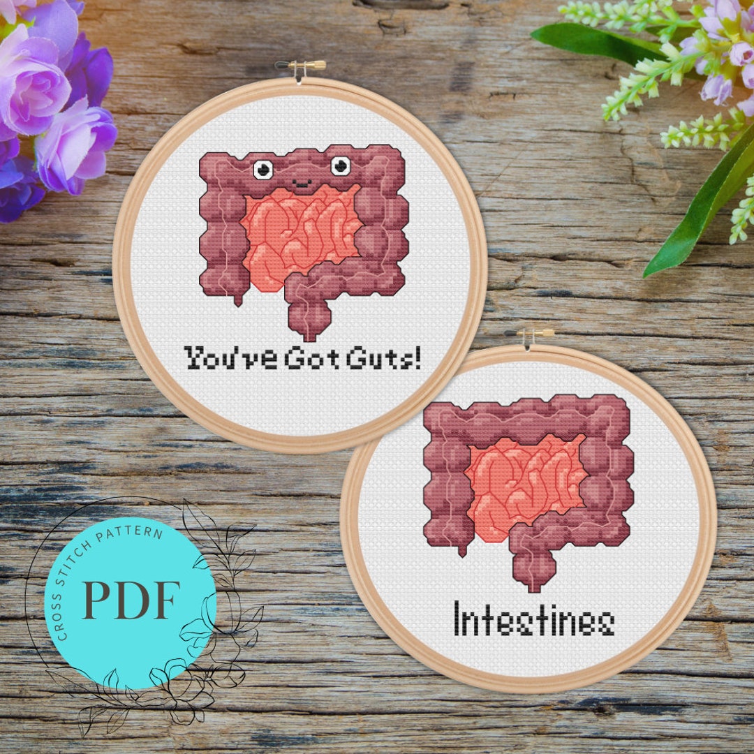 Youve Got Guts Funny Science Cross Stitch Pattern instant PDF Download ...