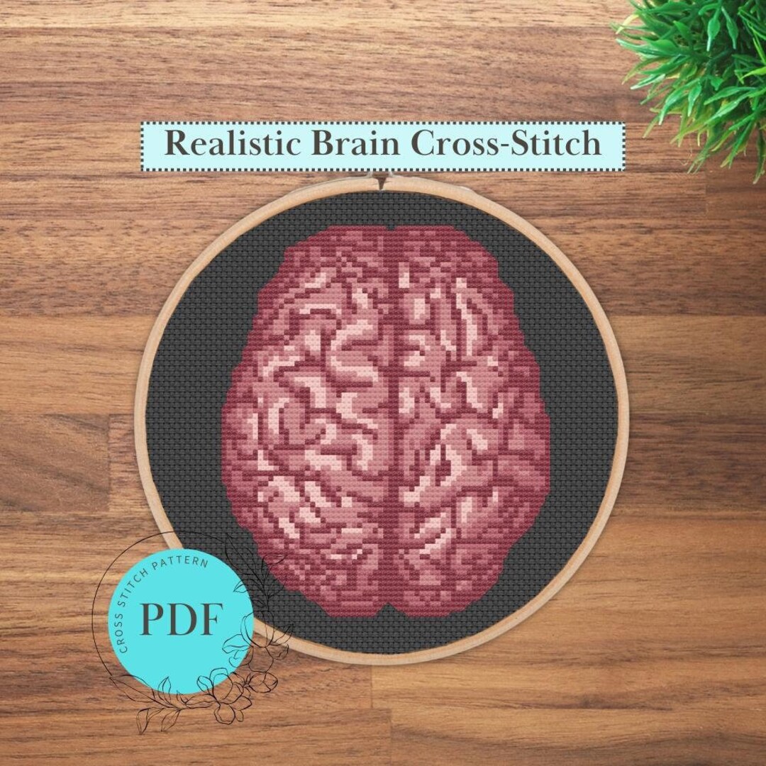Anatomic Brain Cross Stitch Pattern (instant PDF Download), Top View ...