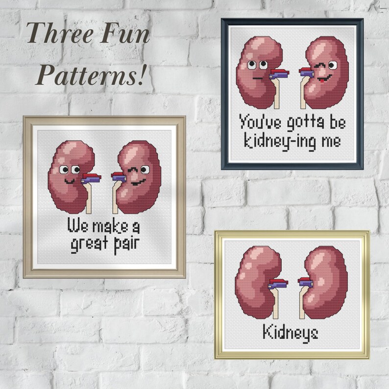 Funny Kidneys Cross Stitch Patterns “we Make a Great Pair” (instant PDF ...