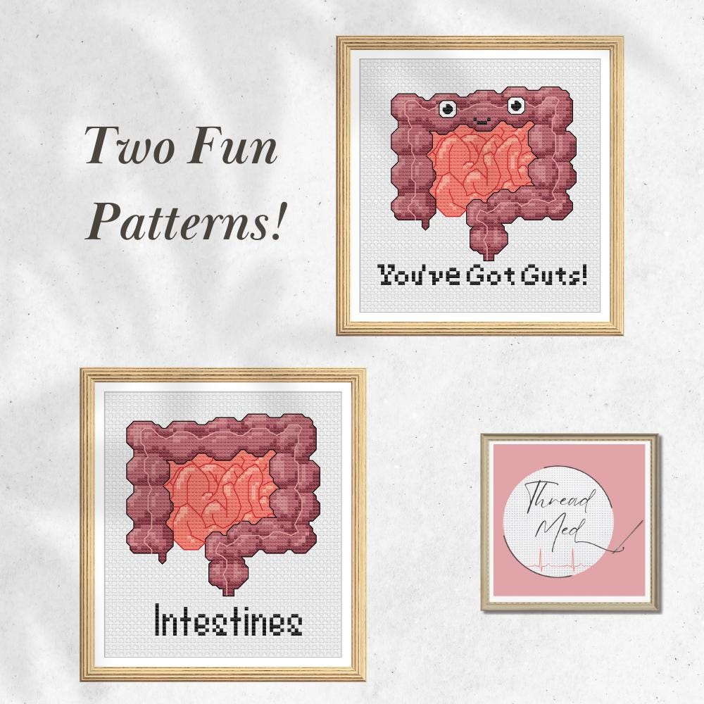 You’ve Got Guts! Funny Science Cross Stitch Pattern (instant PDF ...