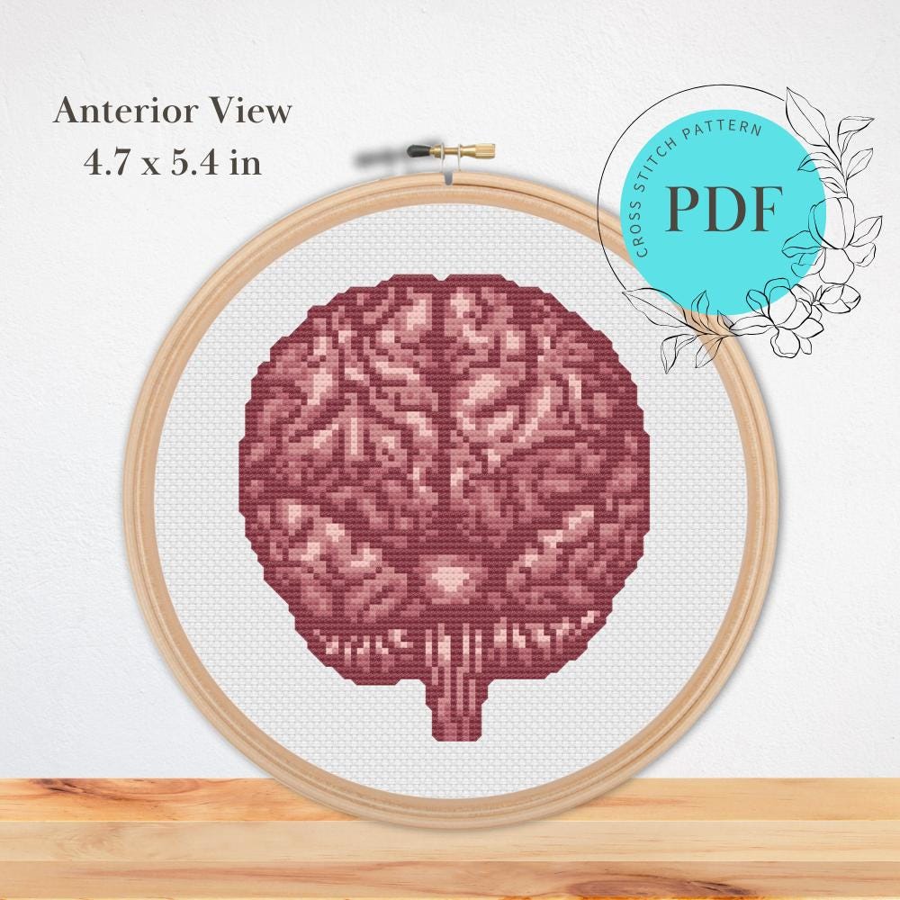 Anatomic Brain Cross Stitch Pattern (instant PDF Download), Front View ...