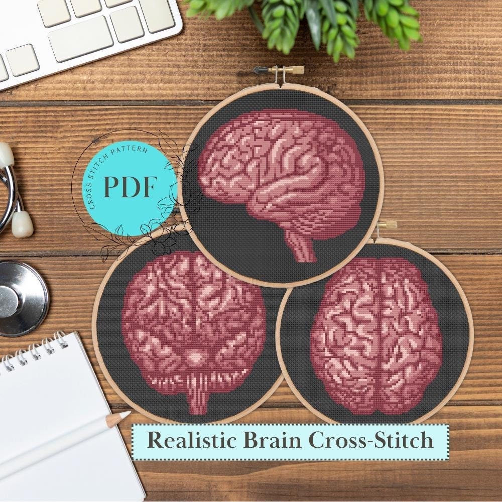 Anatomic Brain Cross Stitch Pattern Bundle (instant PDF Download ...