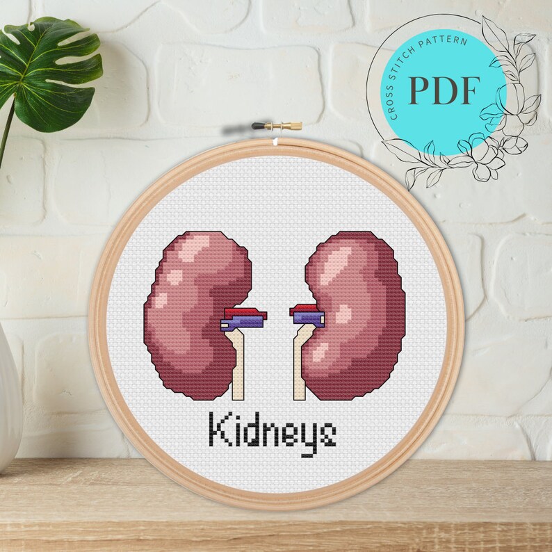 Funny Kidneys Cross Stitch Patterns “we Make a Great Pair” (instant PDF ...