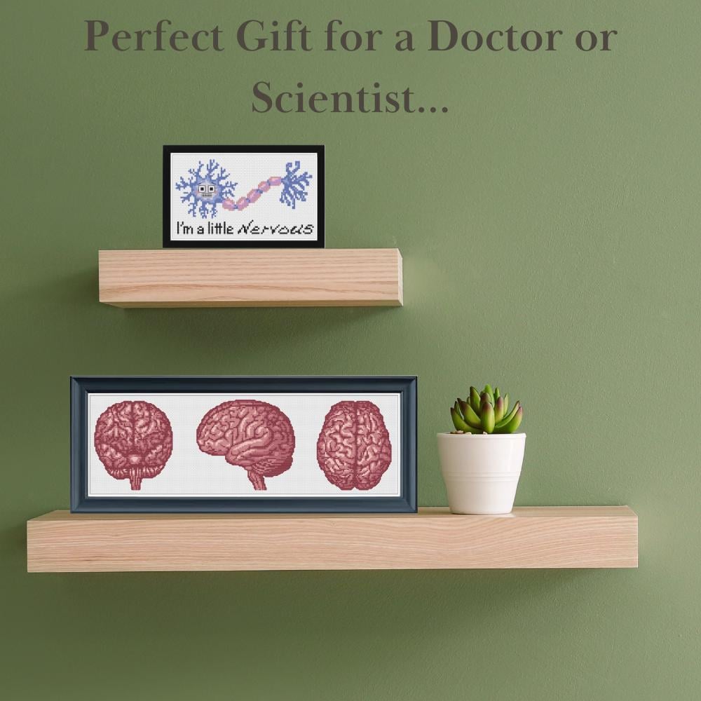 Brain Anatomy Cross Stitch Pattern (instant PDF Download), Side View ...
