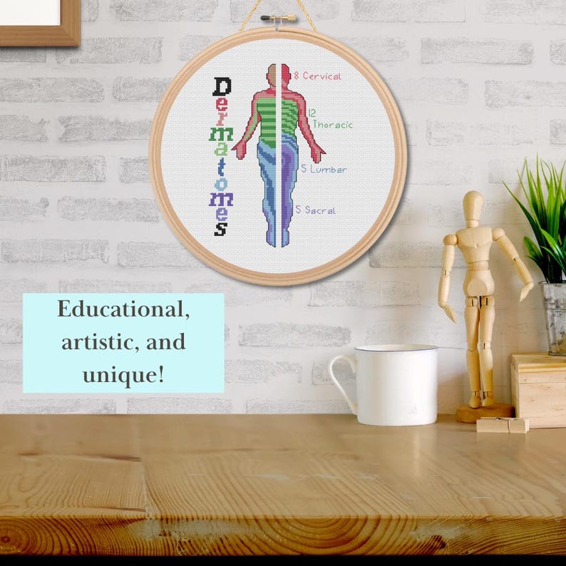 Dermatome Map Anatomical Cross Stitch Pattern (instant PDF Download ...