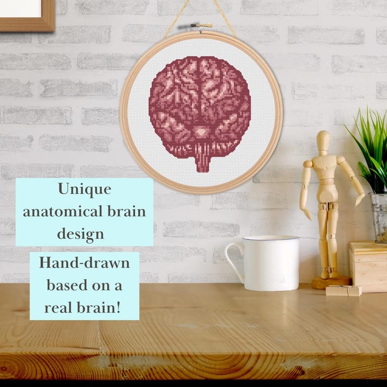 Anatomic Brain Cross Stitch Pattern (instant PDF Download), Front View ...