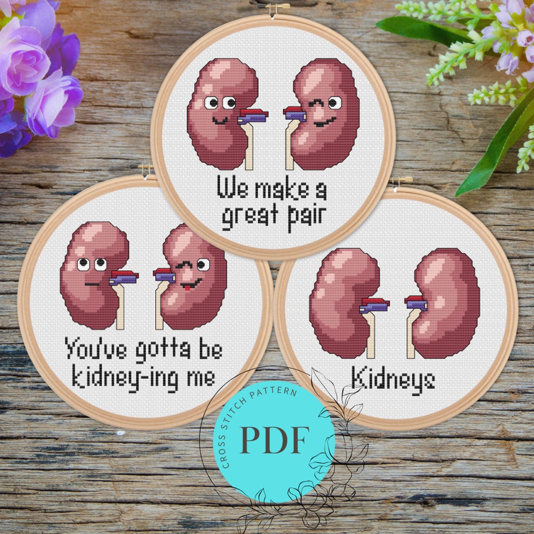 Funny Kidneys Cross Stitch Patterns “we Make a Great Pair” (instant PDF ...
