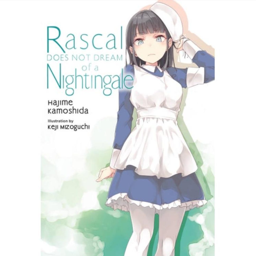 Rascal Does Not Dream of Bunny Girl Senpai Light Novel Full Set Vol. 1 ...