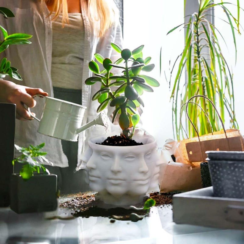 Multi Face Planter - Etsy