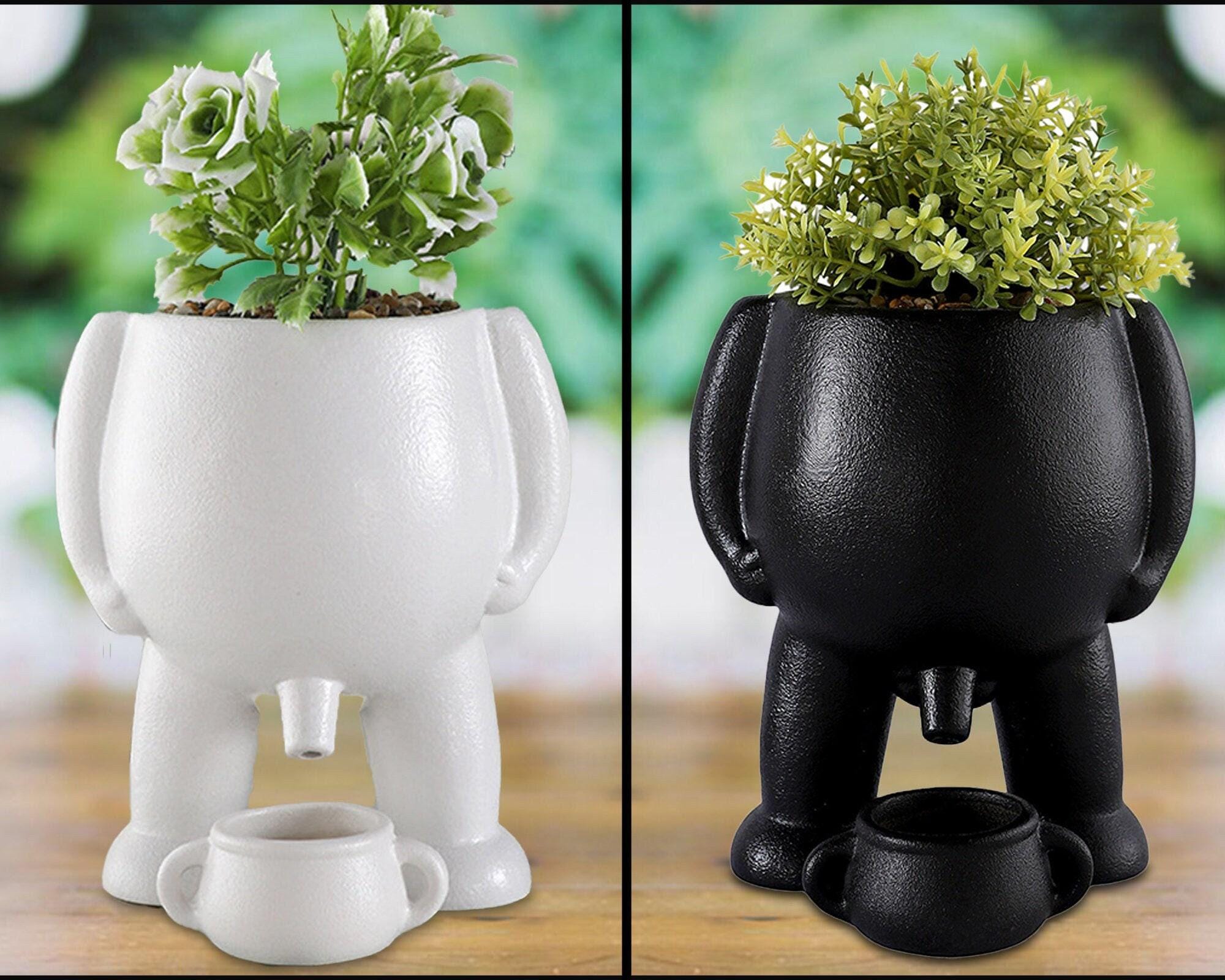 Peeing Man Planter, Quirky Peeing Man Succulent Planter, Whimsical ...