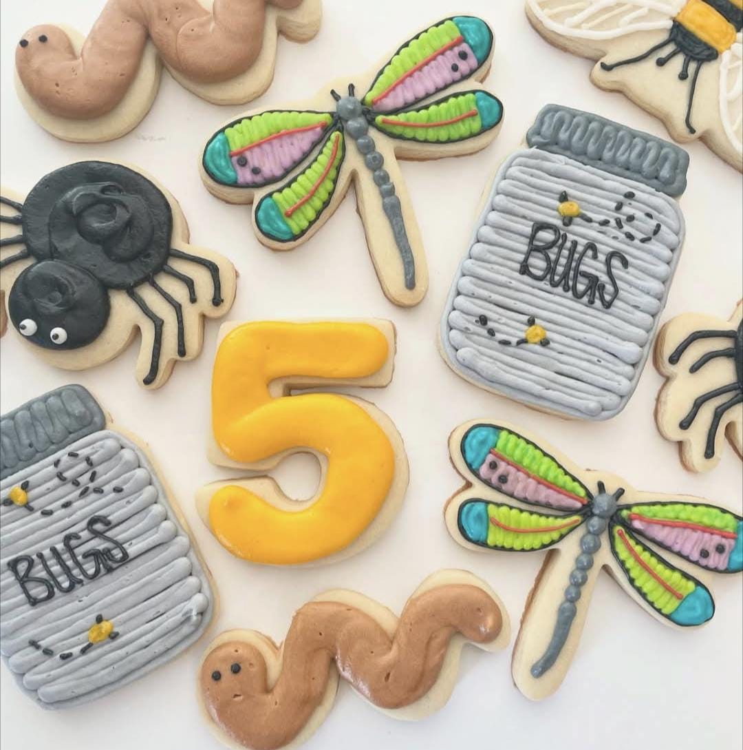 Bug Collection Cookie Cutter Set - Etsy