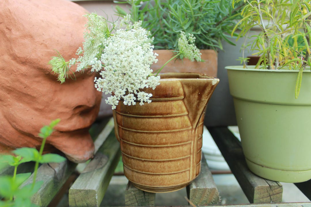 Monmouth Pottery Ceramic Pitcher | Small Brown Ceramic | Glazed Pitcher ...