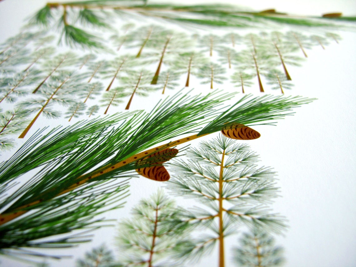 Minnesota State Tree Print 11x14 - Etsy