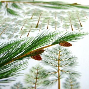 Minnesota State Tree Print 11x14 - Etsy