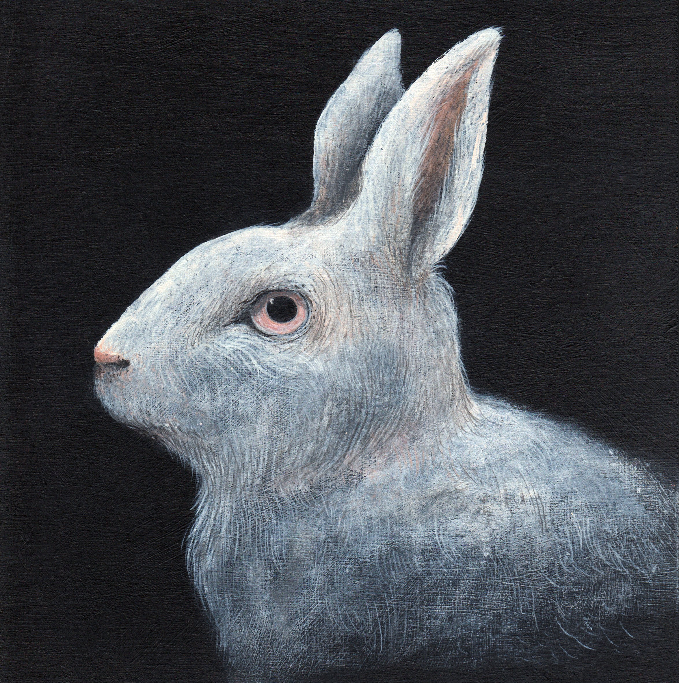 Rabbit, Night 11x11 Art Print - Etsy